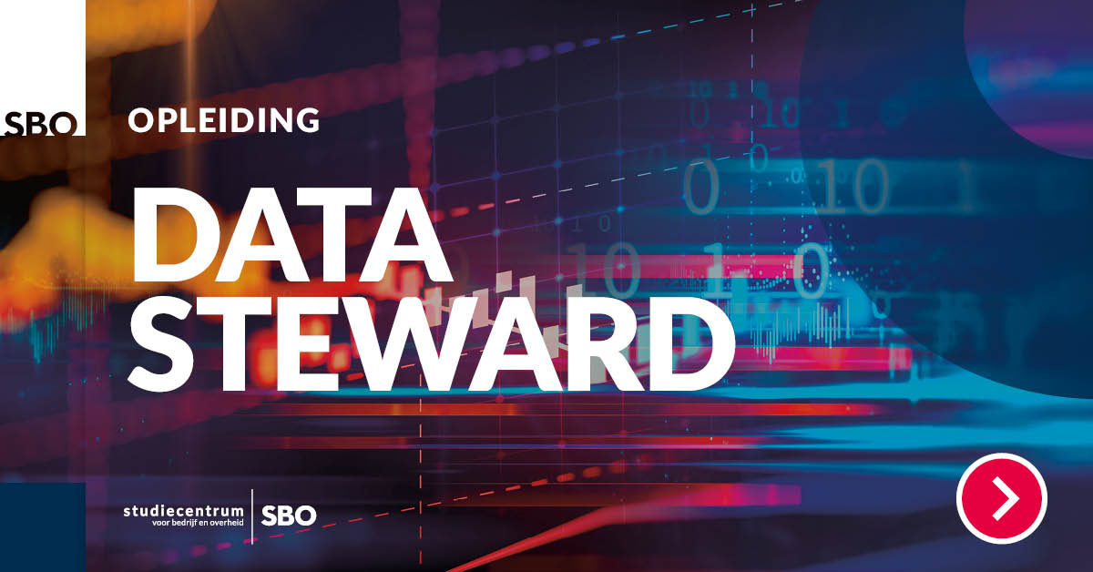 Opleiding Data Steward